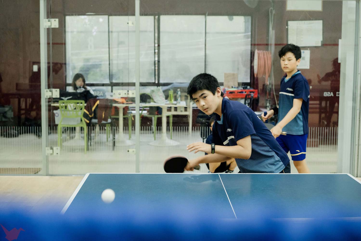 Vivian table tennis academy